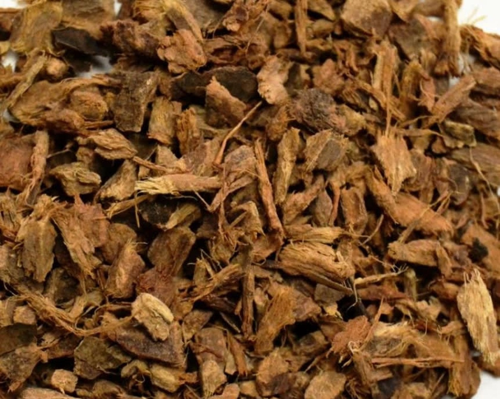 Bayberry Root Bark – Oja Aje Apothecary & Botanica