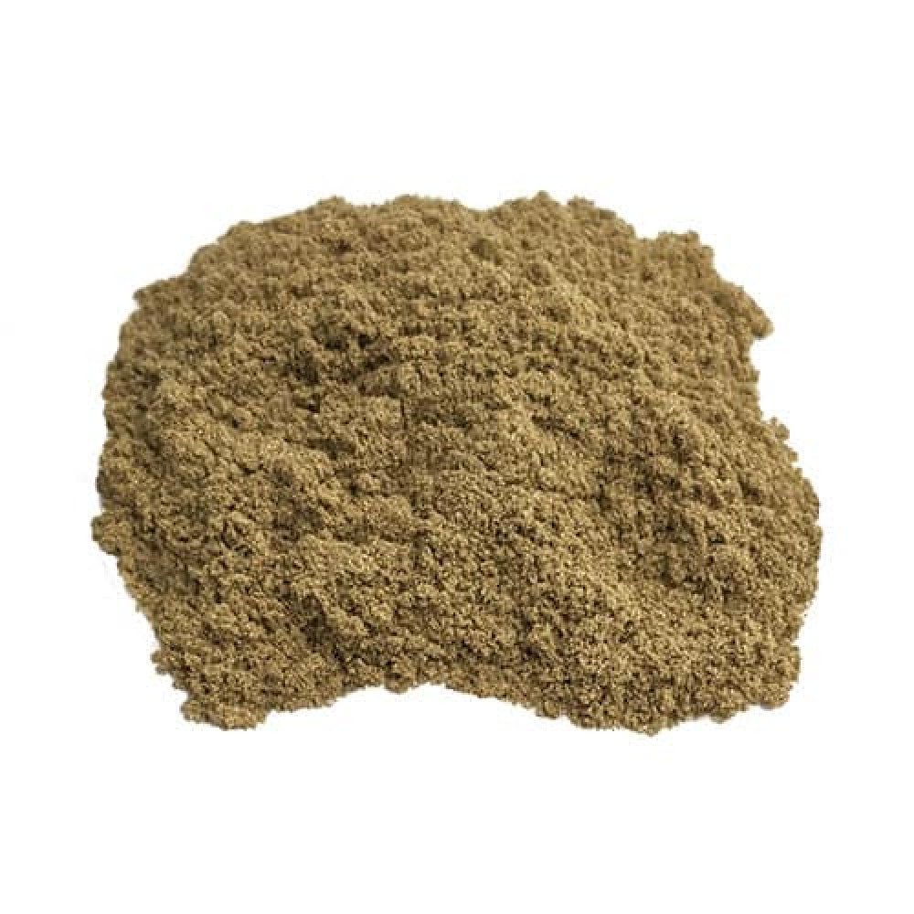 Wormwood – Oja Aje Apothecary & Botanica