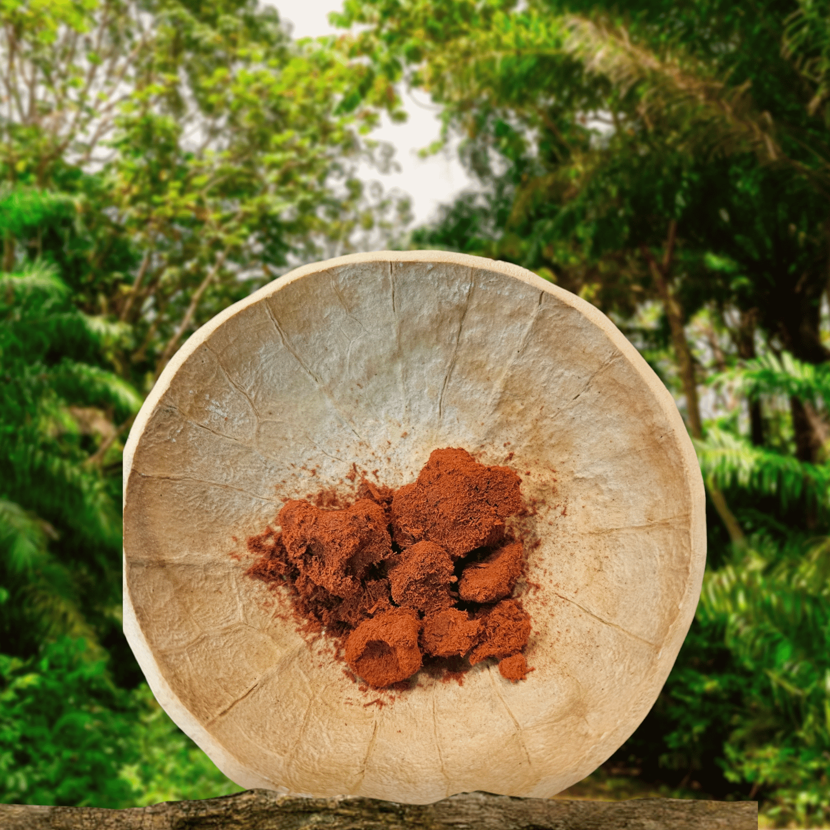 Osun (Camwood) – Oja Aje Apothecary & Botanica